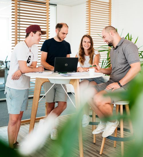 ines | KIS – Klinik-Informationssystem für das Schweizer Gesundheitswesen